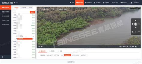 如何在vue3中使用h265视频easyplayerjs流媒体播放器？vue Easyplayer Csdn博客