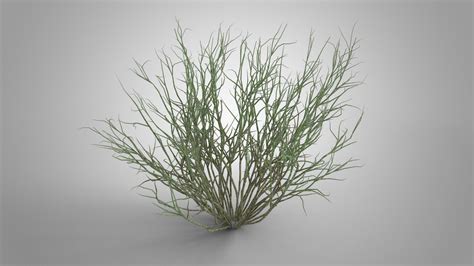 3d Underwater Grass Animated Turbosquid 2111875