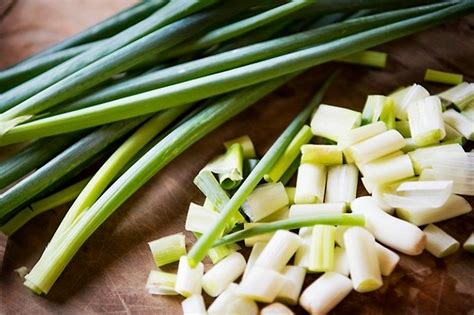 대파 그냥 먹지 마세요 이 부분이 항산화 효과 최고 오늘뭐먹지