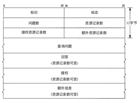 一个强大的基于 Go 的 Dns 库 晒太阳的猫