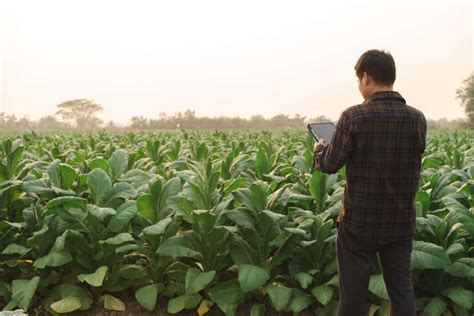 Agriculture Yield At Oscar Godson Blog