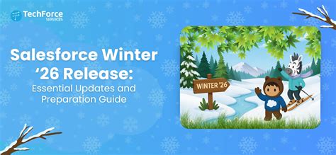 Salesforce Migration Services 10 Yrs Expertise