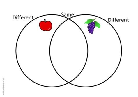 2122 Same English Esl Worksheets Pdf And Doc