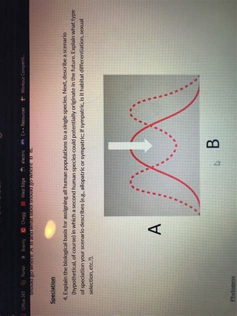 Solved Unit Homework Edu Electric C Resources Workout Chegg Com