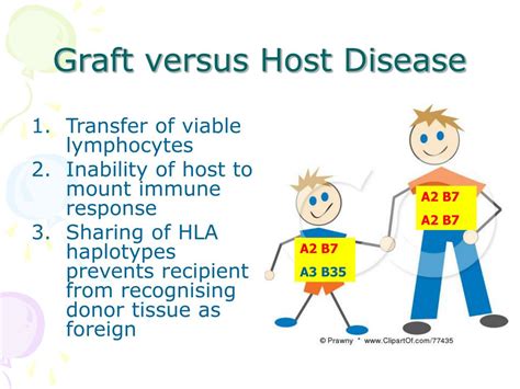 PPT The Ubiquitous HLA System Applications In Transfusion And Transplantation PowerPoint