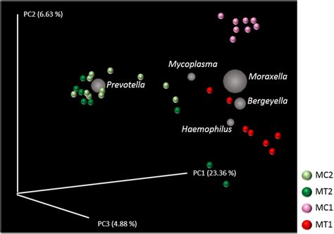 Principal Component Plots Jackknifed Representing Beta Diversity On