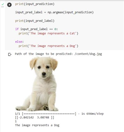 Github Arpit5220cat Vs Dog Image Classifier Using Deep Learning