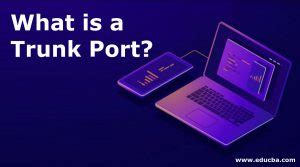 What Is A Trunk Port Comprehensive Guide To Trunk Port