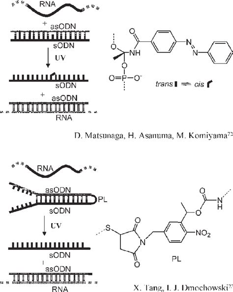 Strategies For Controlling Dna Dna And Dna Rna Hybridization Using