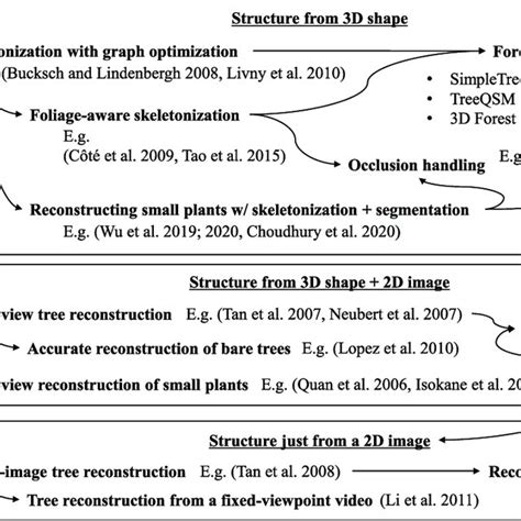 Developmental Trends In The Estimation Of Reconstructed Plant Tree Download Scientific Diagram