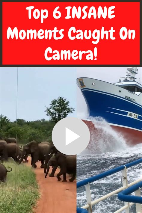 Watch These Top 6 Insane Moments Caught On Camera In This Moment Catch Camera