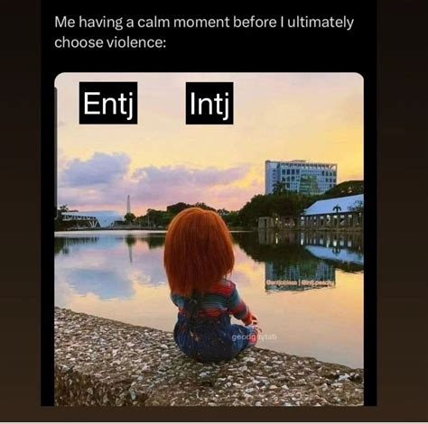 Intj And Entj Meme Intj Entj Intj Characters