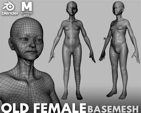 Old Female Anatomy Topology UV Map