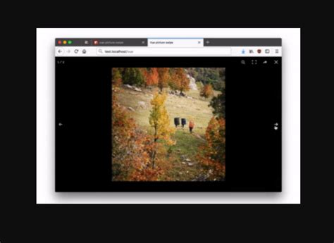 Touch Friendly Image Gallery For Vue Js Picture Swipe Gallery Vue