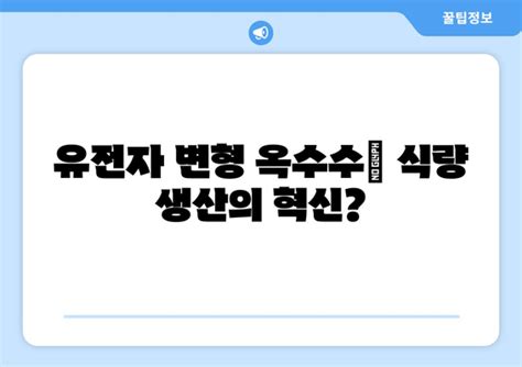 유전자 변형 옥수수 이점과 우려 사항 Gmo 옥수수 식량 안보 환경 영향 건강 논쟁 쿼즈