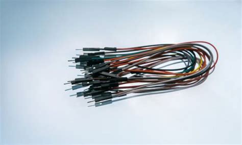 Sandra Orlow Unraveling The Story Of An Iconic Figure Vamonde