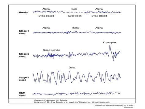 Eeg Sleeppptx Eeg Sleeppptx