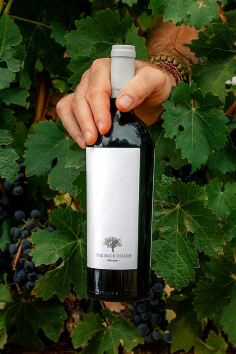 Home Black Elephant Vintners