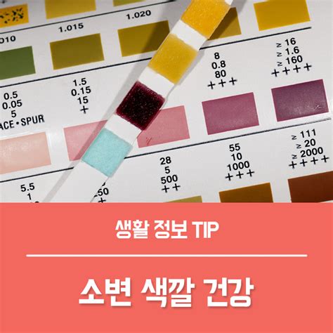 소변색깔 갈색 초록색 오줌색깔 주황색 노란 소변 혈뇨 원인 정상소변량 알아봐요 네이버 블로그