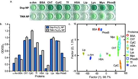 Colorimetric Protein Sensing Using Catalytically Amplified Sensor Arrays PMC