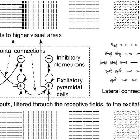 7 Hmax Model Of Object Recognition Proposed By Riesenhuber And Poggio