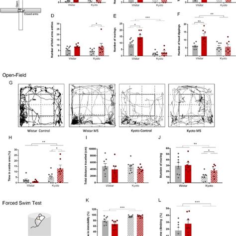 Maternal Separation Impacts Maternal Behavior Of Mothers With Different