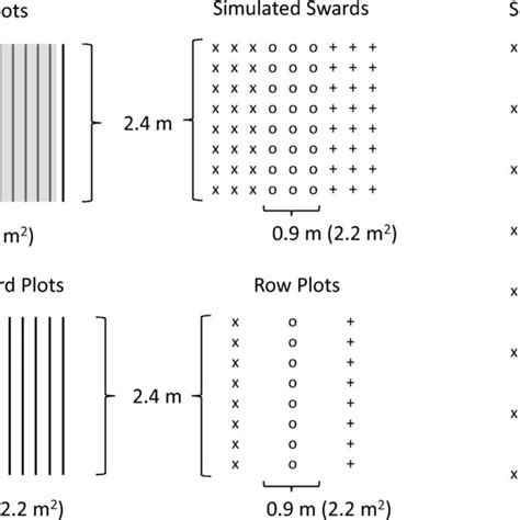 Diagram Of Five Plot Types Used For Field Evaluation Of Switchgrass Download Scientific Diagram