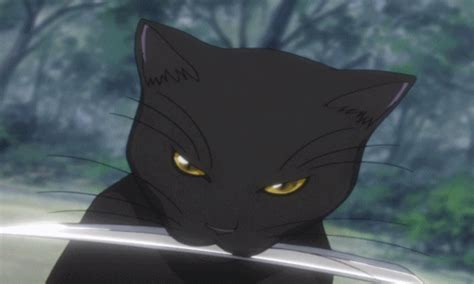 Yoruichi Opening 2 Gato De Anime Personagens De Anime Warrior Cats