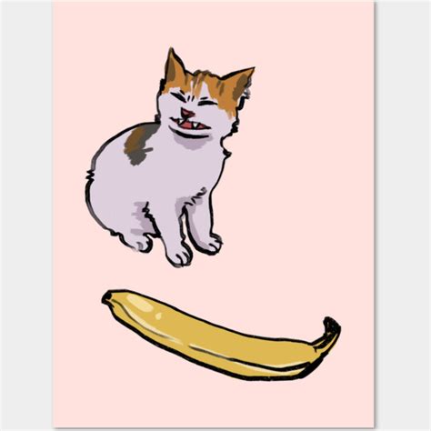 Angry Cat No Banana Meme Calico Kitty Hate Yellow Fruit Angry Cat