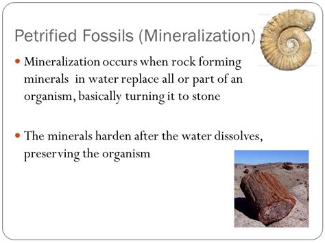 Define Fossil