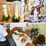 10 Tree Science Activities For Prebabeers Fun A Day