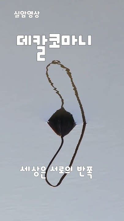 데칼코마니 Youtube