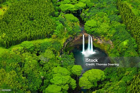 Espectacular Vista Aérea De Las Cascadas De Wailua Entre Bosques