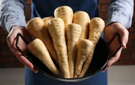 White Carrot Vs Parsnip Understanding The Differences 2025 White Carrot Vs Parsnip Understanding The Differences 2025