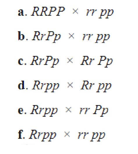 Solved A RRPP X Rr PP B RrPp X Rr Pp C RrPp Rr Pp D Chegg Com