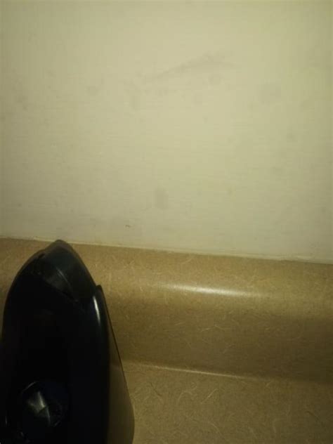 Dap 18836 12 Oz Daptex Plus Window And Door Foam Sealant 155714 At Tractor Supply Co