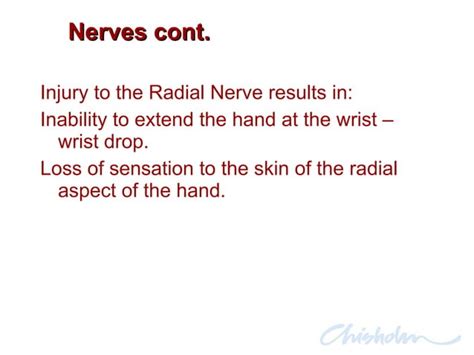 Peripheral Iv Cannulation Ppt