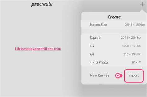 How To Import Pictures And Brushes Into The Procreate IPad App