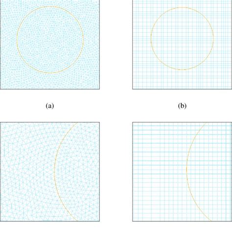 Examples Of Non Cartesian Mesh Used For Fem A And The Cartesian Grid