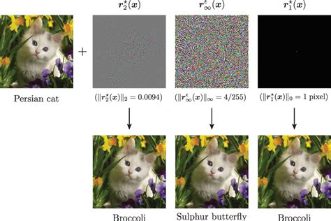 Neural Network Robustness Adversarial Examples Dlma Deep Learning
