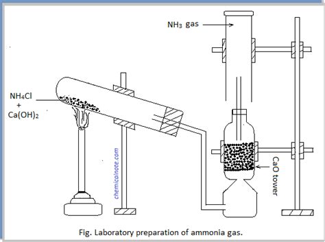 Icse Chemistry Laboratory Preparation Of Ammonia Gas