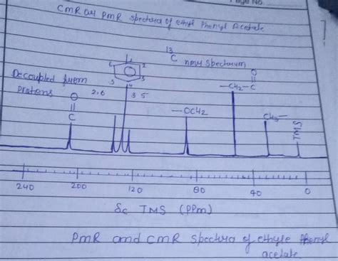 Carbon 13 Nmr Spectroscopy