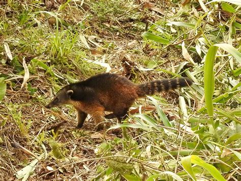 Northern Andean Páramo One Earth