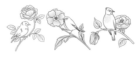 Drawing Bird At Tree Branch With Flower Royalty Free Vector