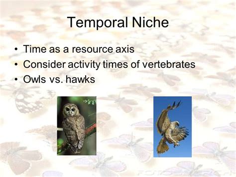 Temporal Resource Partitioning