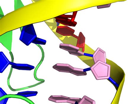 [pymol] Dna Presentations Kpwus Group Research Site