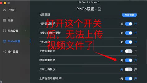 Bug 打开时间戳文件名后无法上传视频文件了 Issue Molunerfinn PicGo GitHub