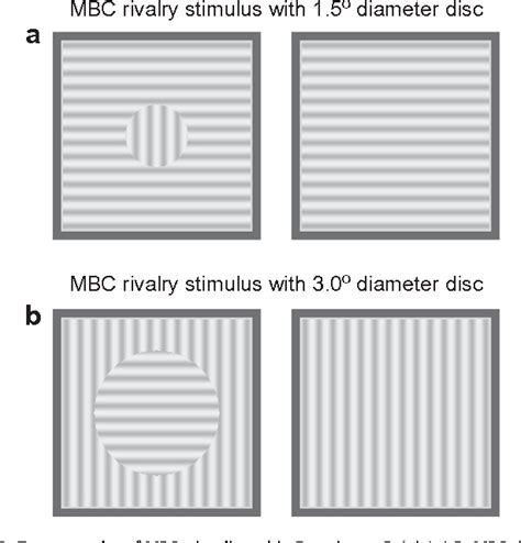 Figure 2 From Revealing Boundary Contour Based Surface Representation