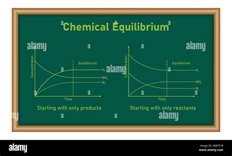 Model Experiment For The Dynamic Aspect Of A Chemical Equilibrium Chemical Equilibrium