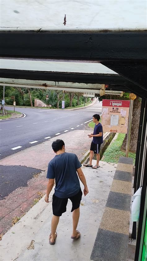 Crowd Counting Object Detection Dataset And Pre Trained Model By Final